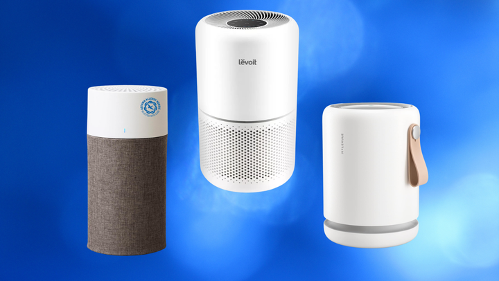8 Best Air Purifiers For Asthma And Allergies | HuffPost Life