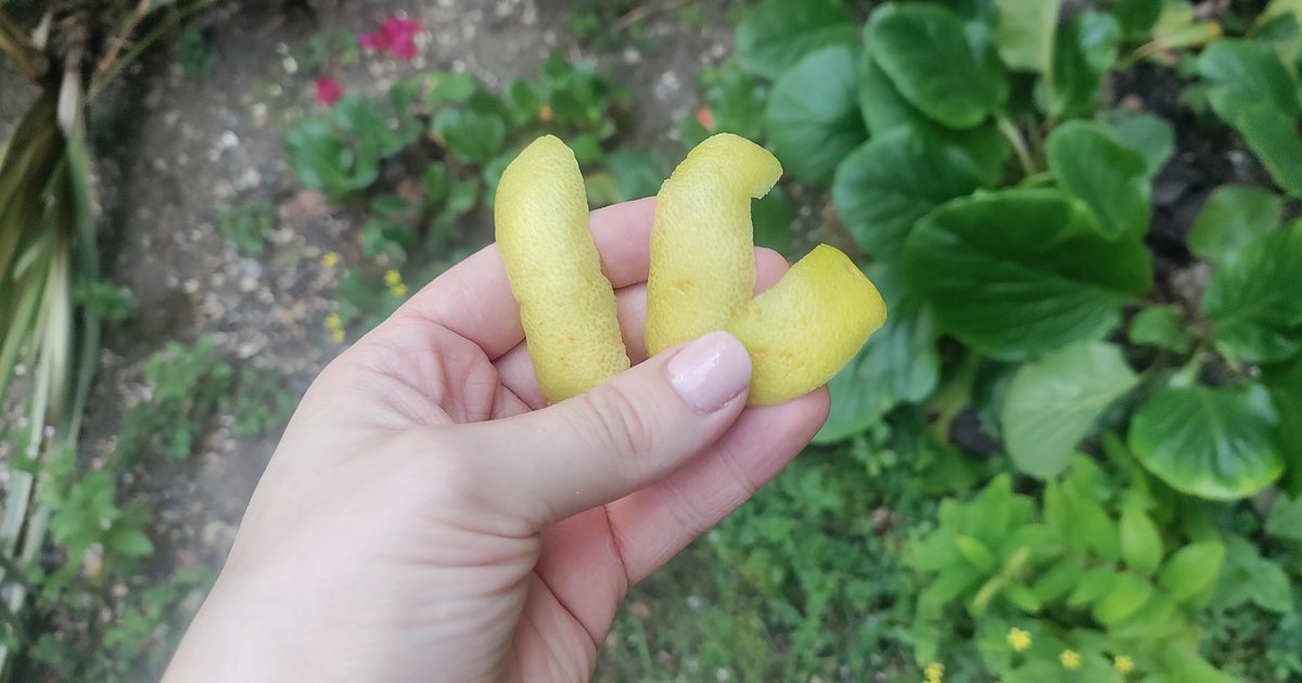UK Gardeners Told To Place Lemon Peel On Vegetable Patches | HuffPost ...