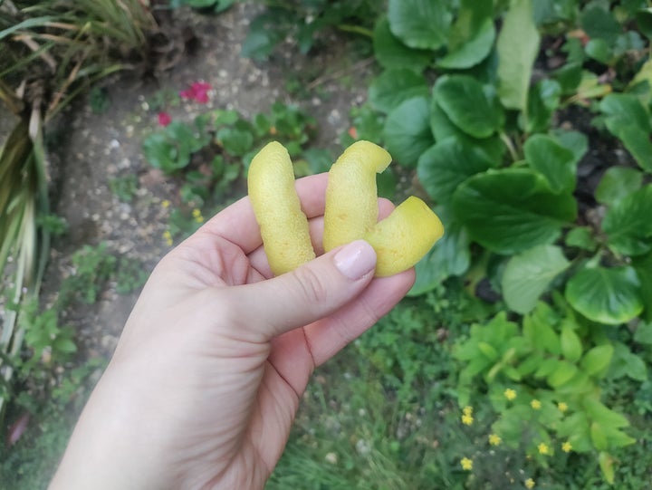 UK Gardeners Told To Place Lemon Peel On Vegetable Patches | HuffPost ...