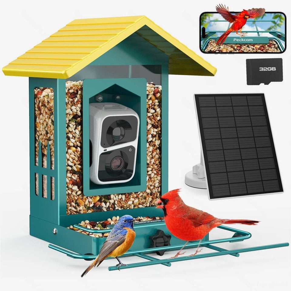 5 Best Smart Bird Feeders With Cameras On Amazon | HuffPost Life