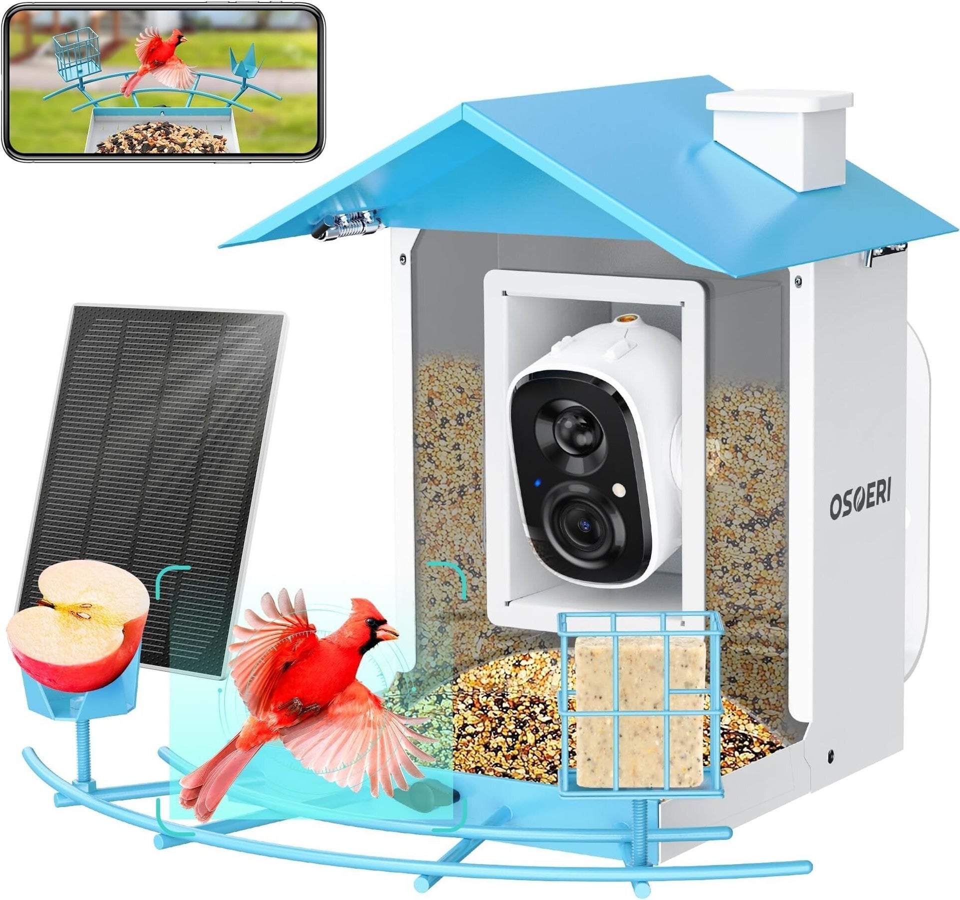 5 Best Smart Bird Feeders With Cameras On Amazon | HuffPost Life