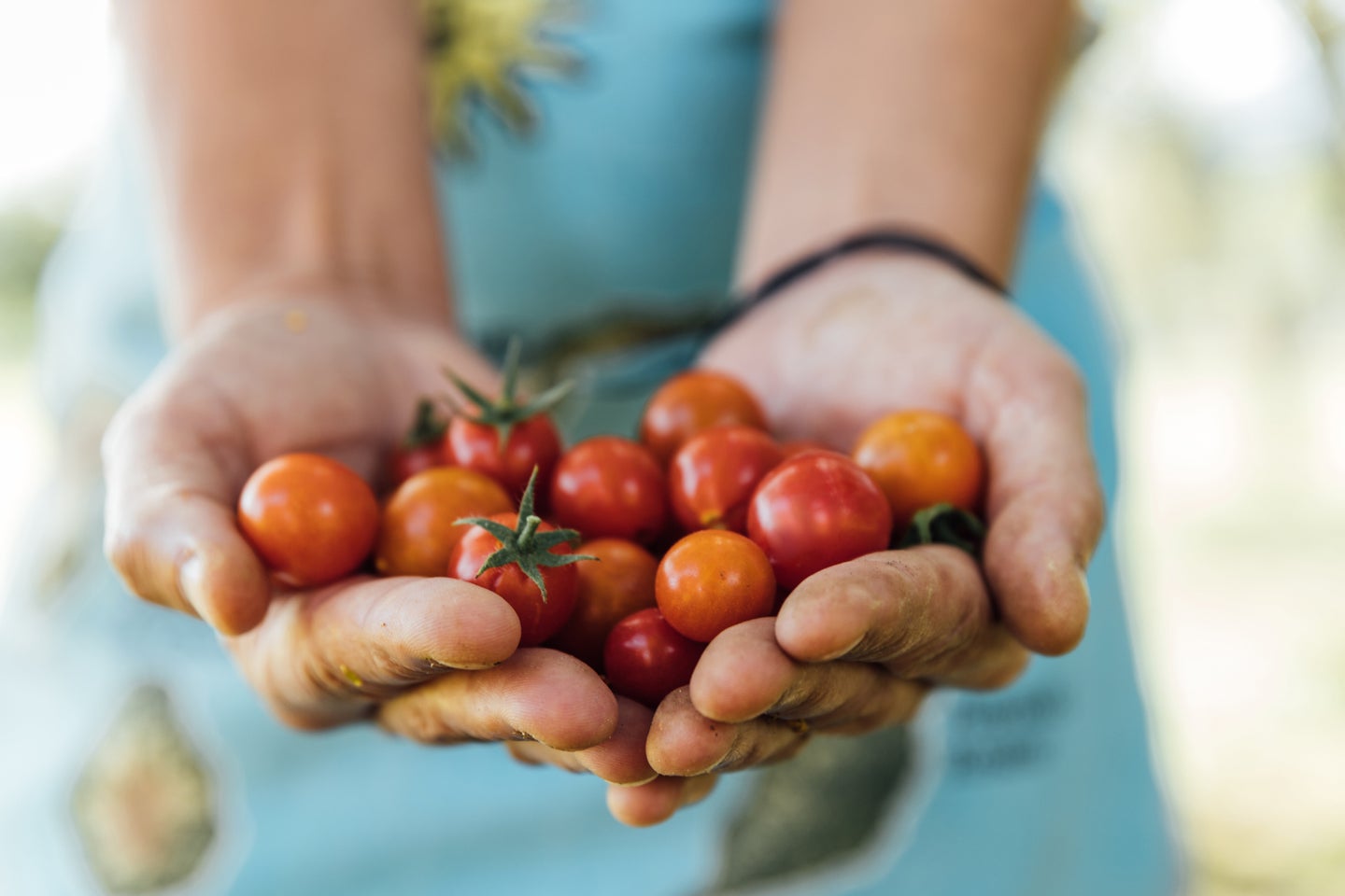 Is It Safe To Consume Unwashed Garden Vegetables? | HuffPost Life