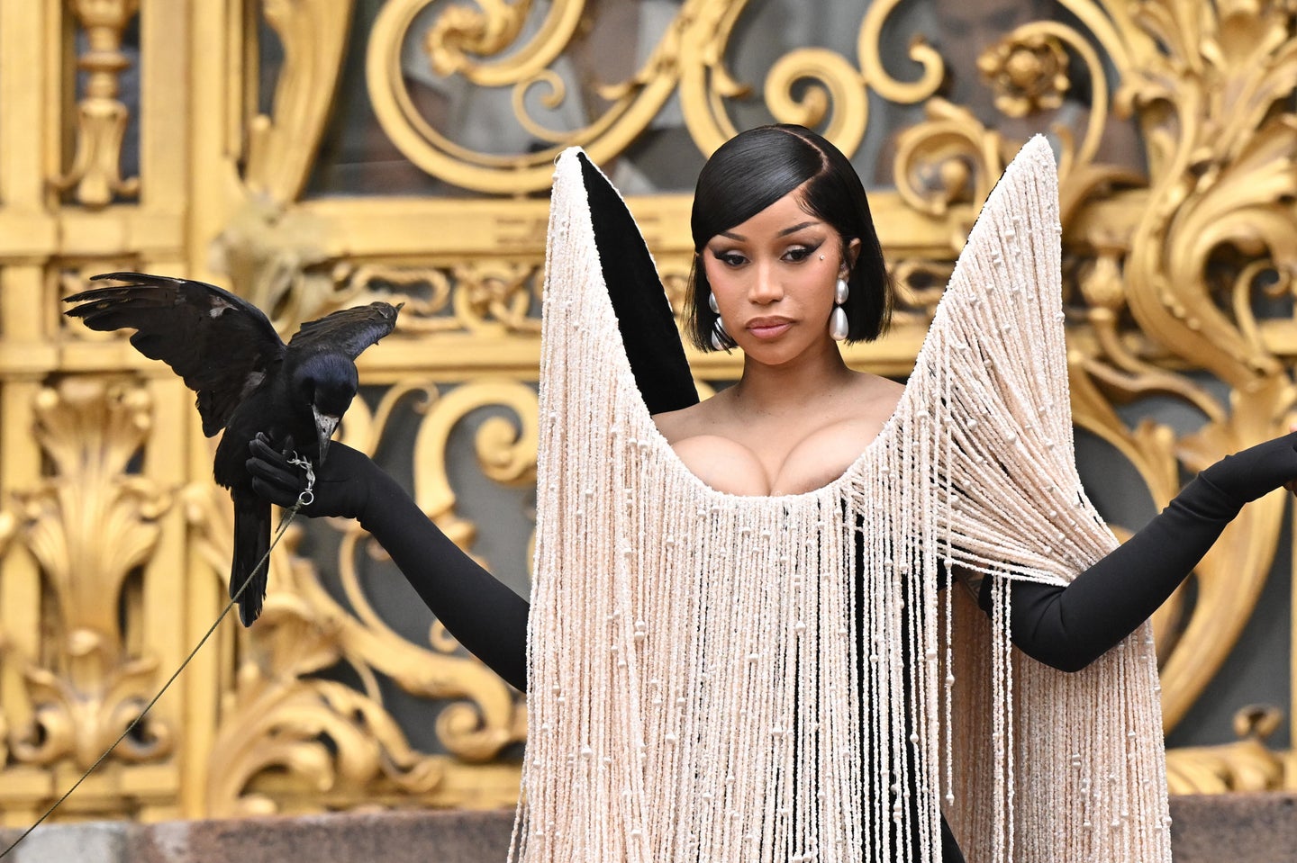 Cardi B Shocks With Live Crow At Couture Week | HuffPost Entertainment
