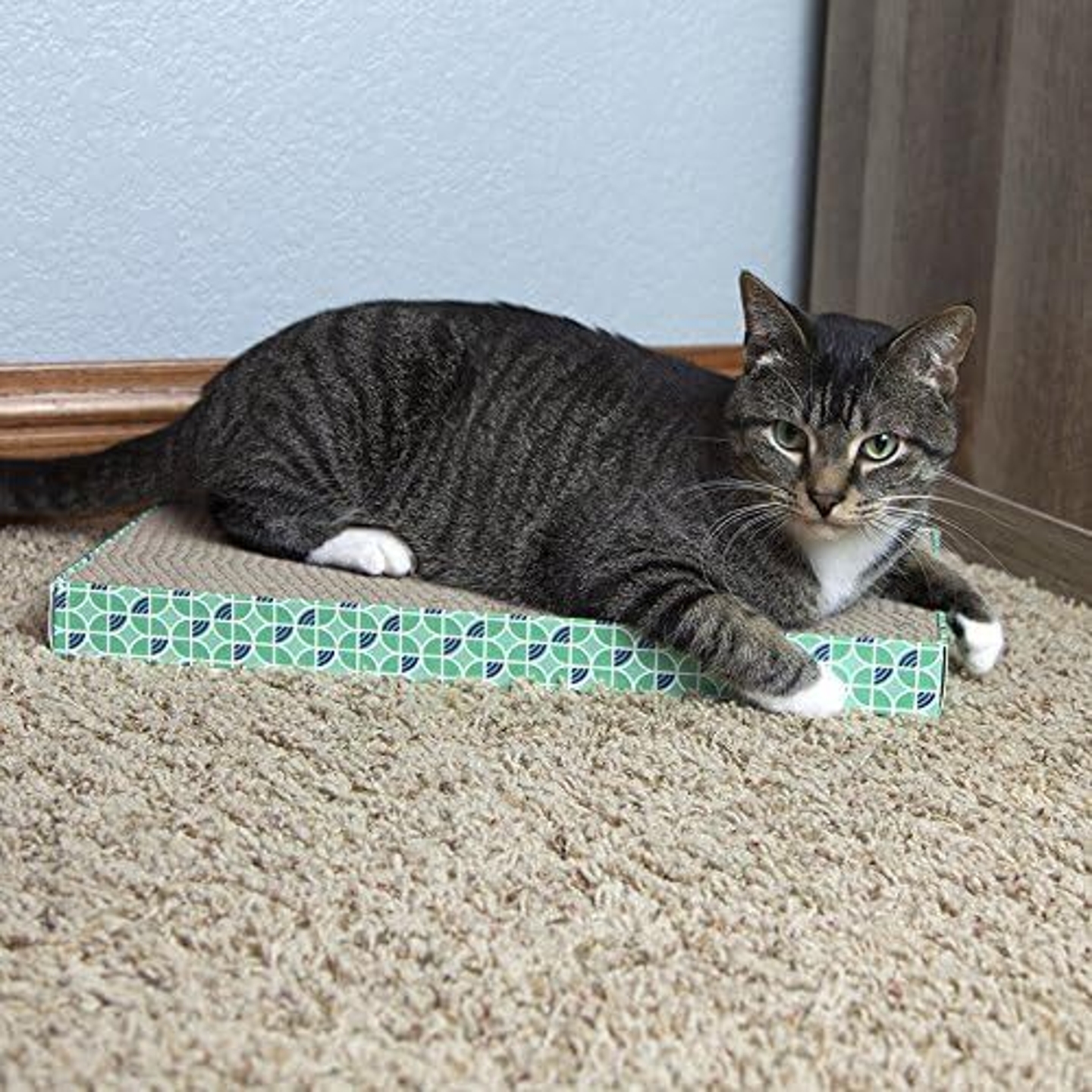 These $18 Cat Scratch Pads Will Save Your Furniture | HuffPost Life