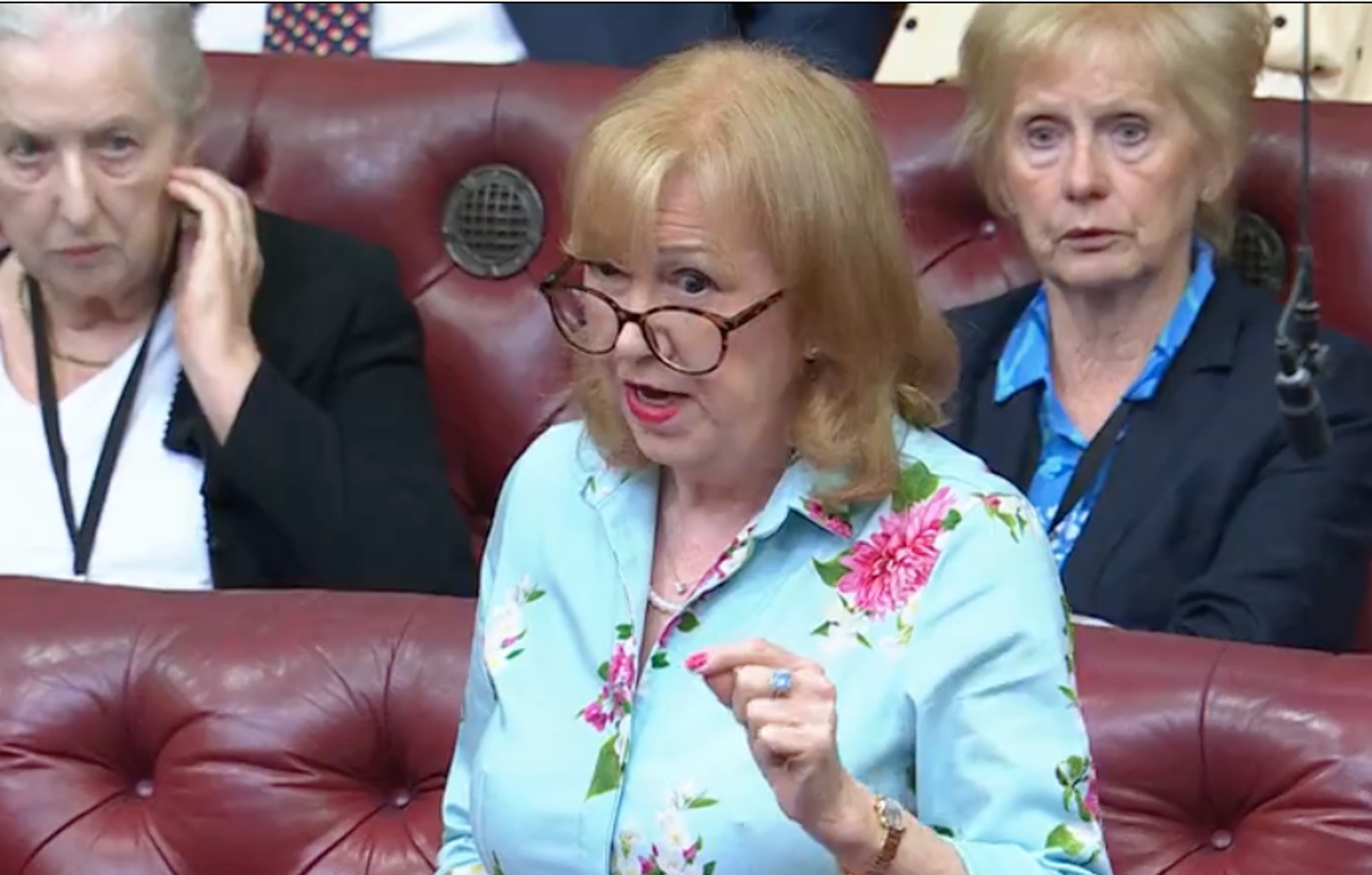 Epping Protests: Peer Slams Reform For Spreading 'Misinformation ...