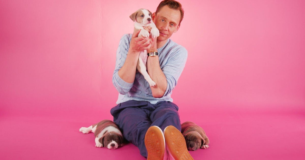 Tom Hiddleston: The Puppy Interview | HuffPost Videos