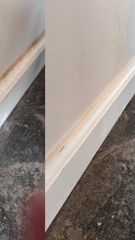 34 Professional-Quality Cleaning Products For Your Home | HuffPost Life