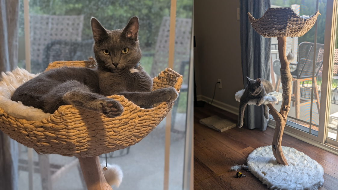Carrie Bradshaw’s Viral Cat Tree Is Worth The Splurge | HuffPost Life