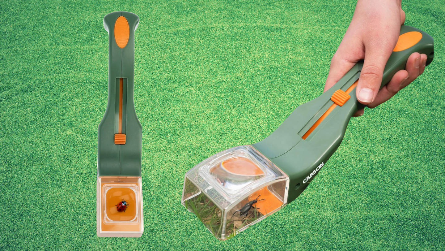 This Magnifier Bug Catcher Removes Insects Without Harm | HuffPost Life