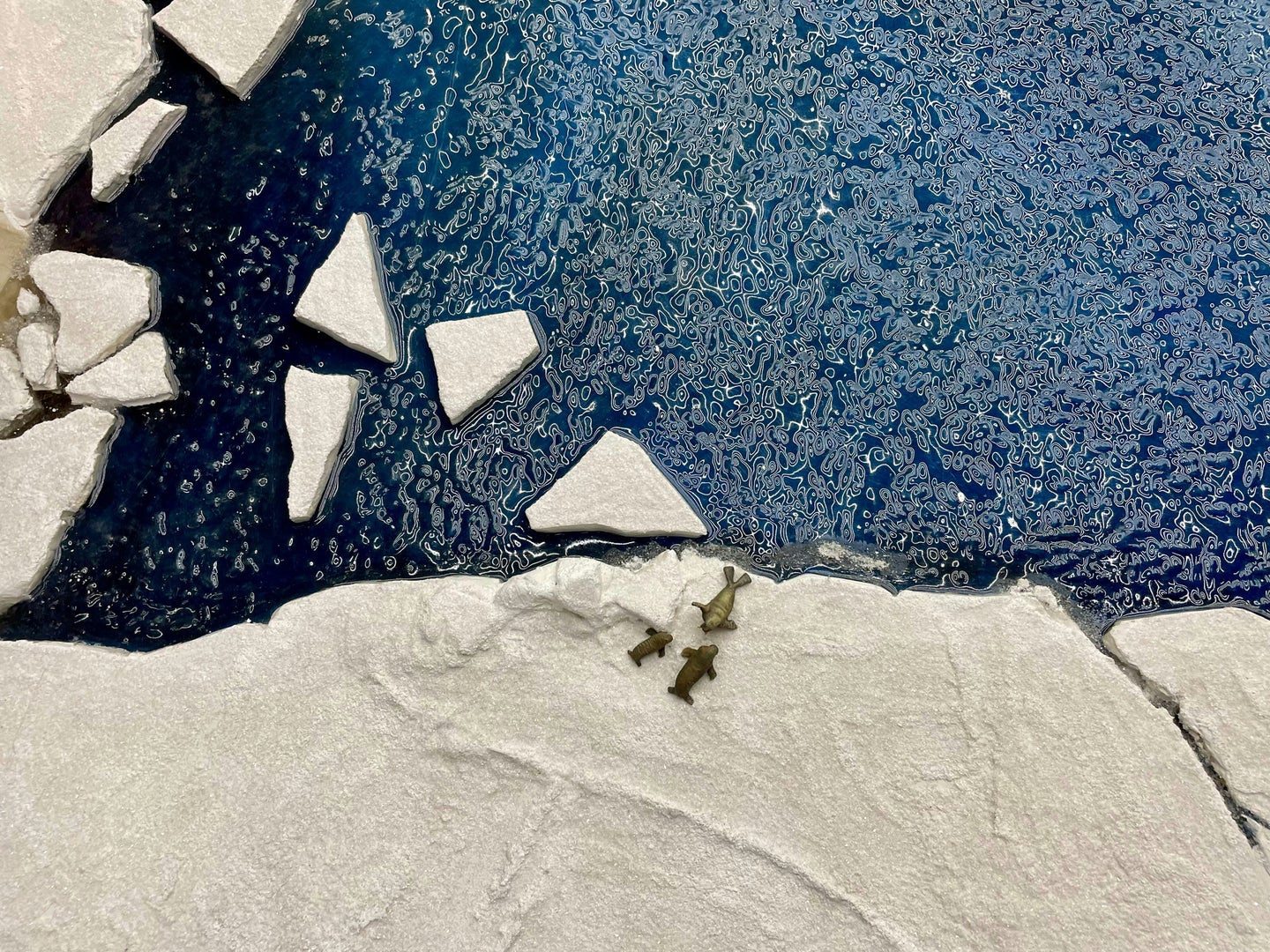 Why Is Arctic Ice Melting More Slowly During Climate Change? | HuffPost ...