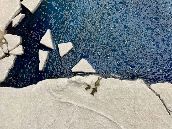 Why Is Arctic Ice Melting More Slowly During Climate Change? | HuffPost ...