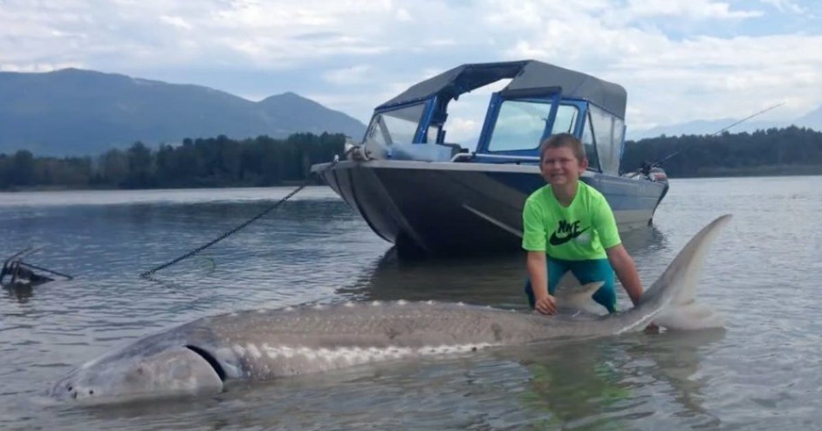 Boy, 9, Catches 600-Pound Fish | HuffPost Videos