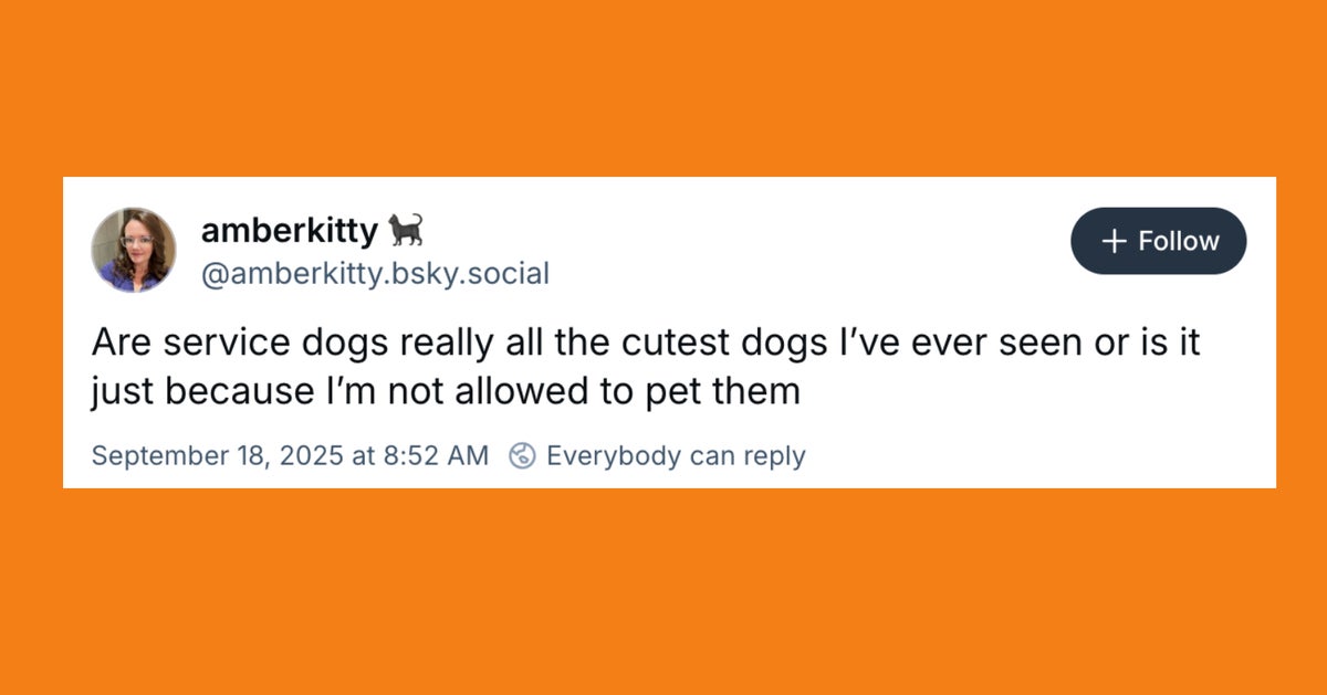 20 Of The Funniest Posts About Cats And Dogs This Week (Sept. 13-19 ...