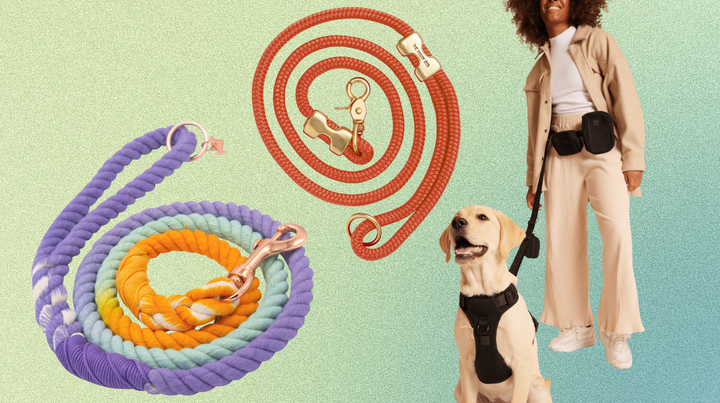 Cute Dog Leashes And Harnesses That Aren't Total Eyesores | HuffPost Life