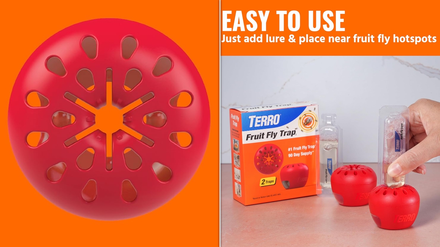 Terro Fruit Fly Traps Are Up To 35% Off Before October Prime Day ...