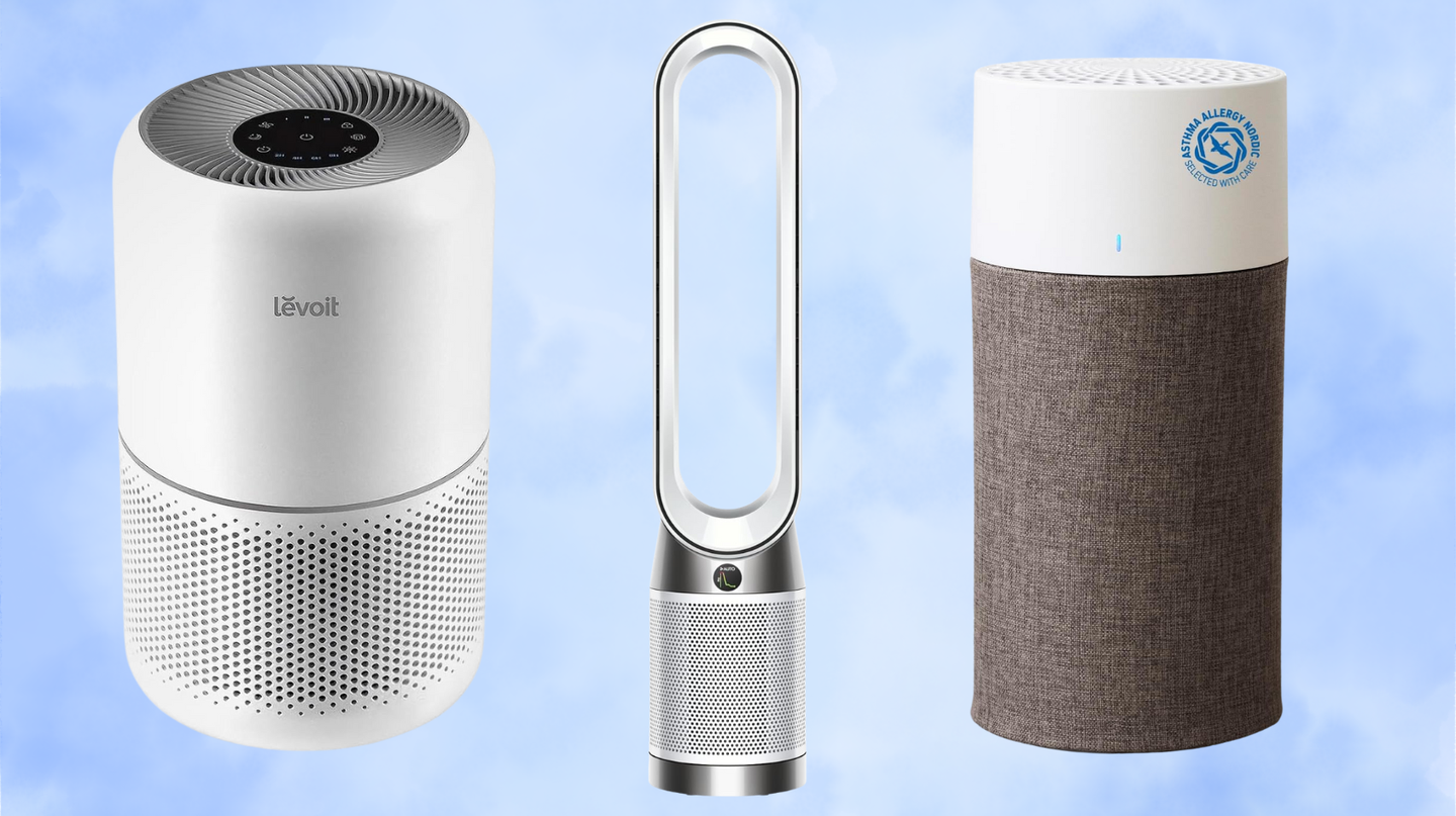 Best Air Purifiers According To People With Asthma | HuffPost Life