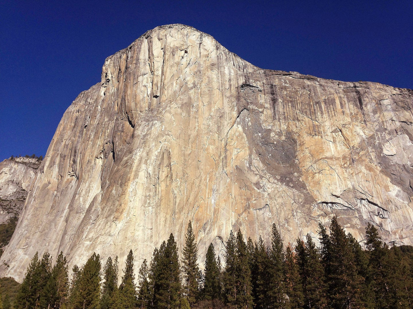 Alaskan Climbing Star Dies In Fall From Yosemite's El Capitan ...