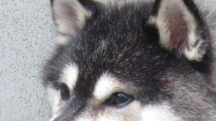 濵田理央（Rio Hamada） | HuffPost