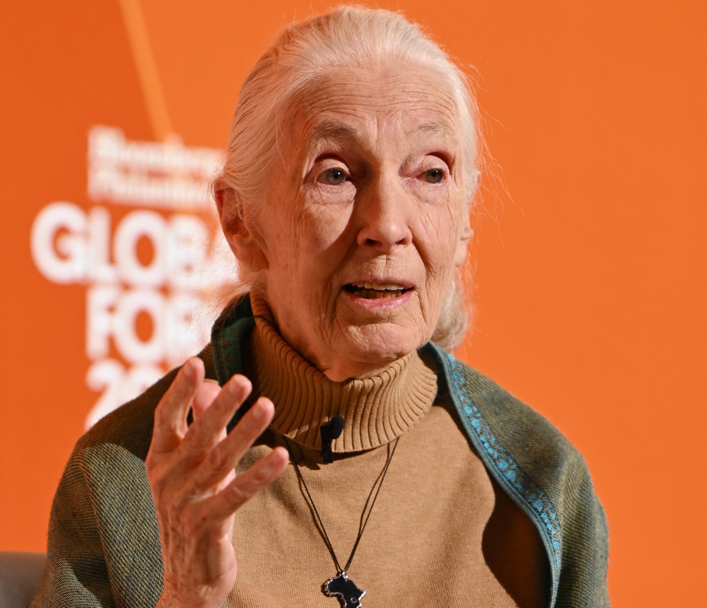 Jane Goodall’s Posthumous Netflix Special Features A Stellar Burn Of ...
