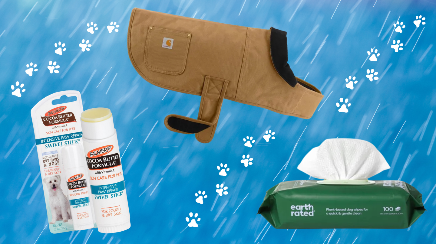 10 Dog-Walking Essentials For Cold And Rainy Weather | HuffPost Life