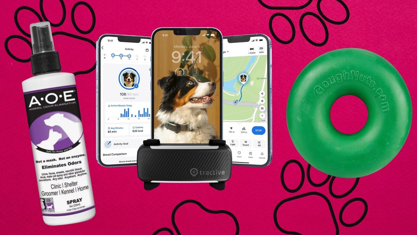 Vets Reveal Their Number One Item For Their Pets | HuffPost Life