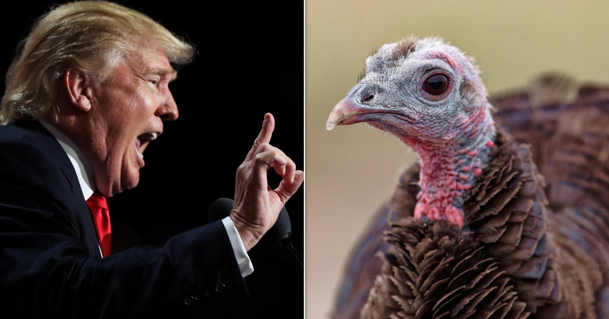 Trump Makes 1 Very Weird Thanksgiving Gaffe, And His Haters Are ...