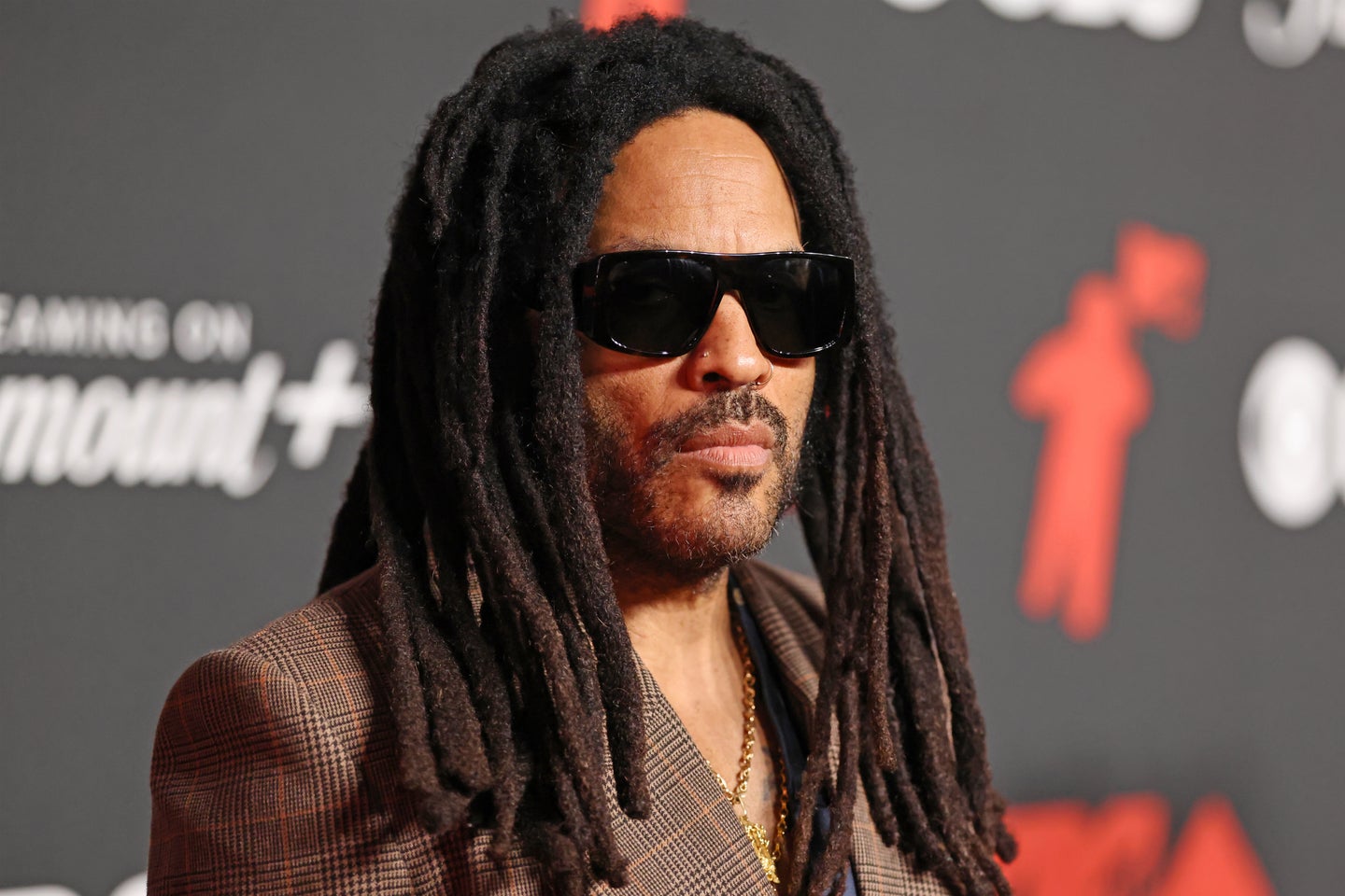 Lenny Kravitz Says Fan Ripped Out His Dreadlocks Onstage | HuffPost ...
