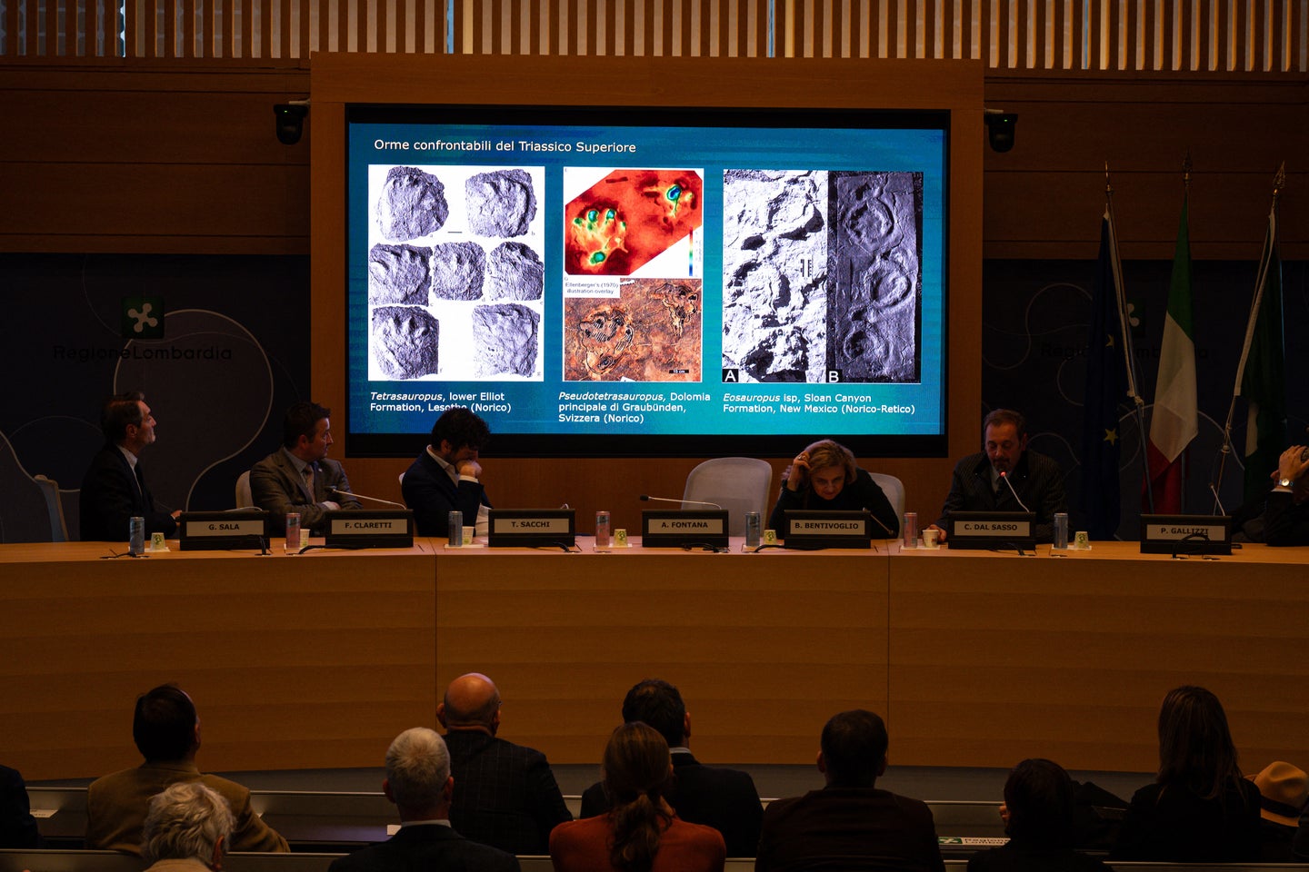 Photographer Makes Stunning Prehistoric Discovery Near Italian Winter ...