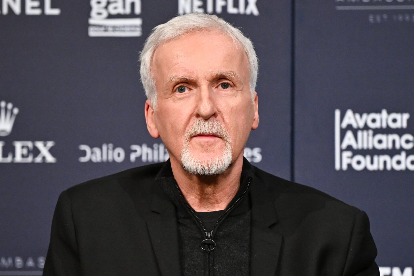 James Cameron Reacts To Amy Poehler's 'Ignorant Dig' | HuffPost ...