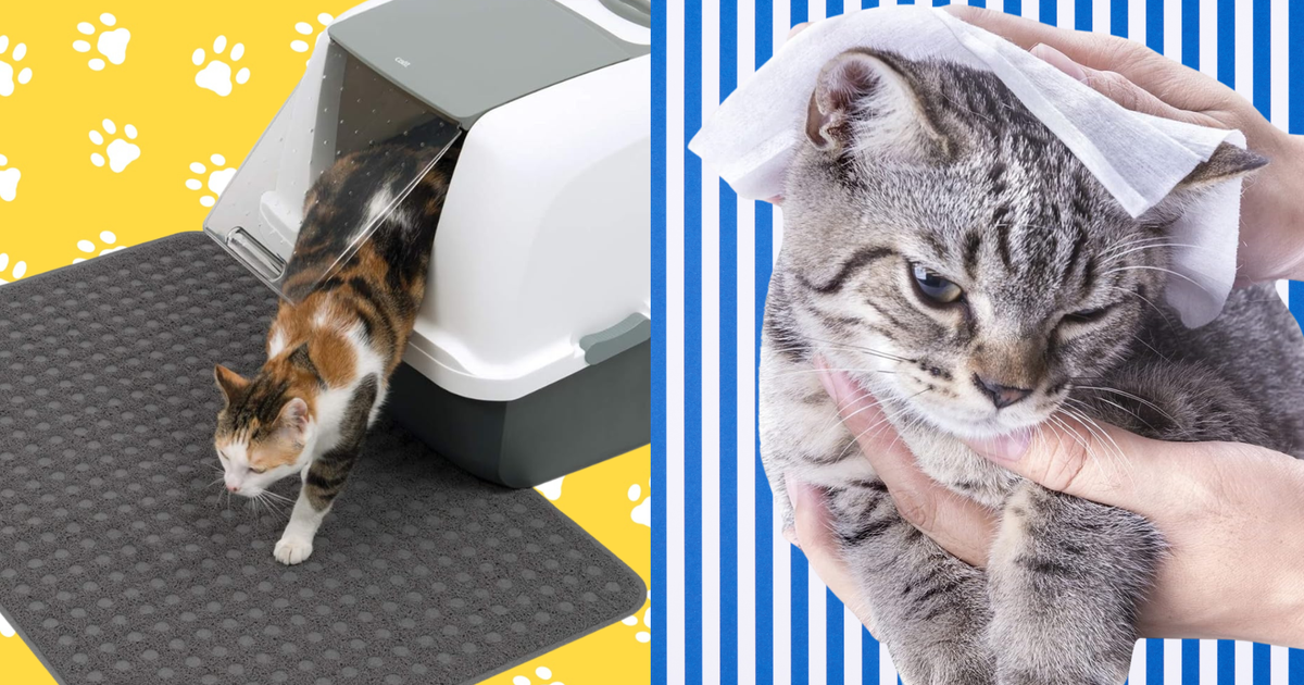 8 Problem-Solving Cat Products That Experts Recommend | HuffPost Life