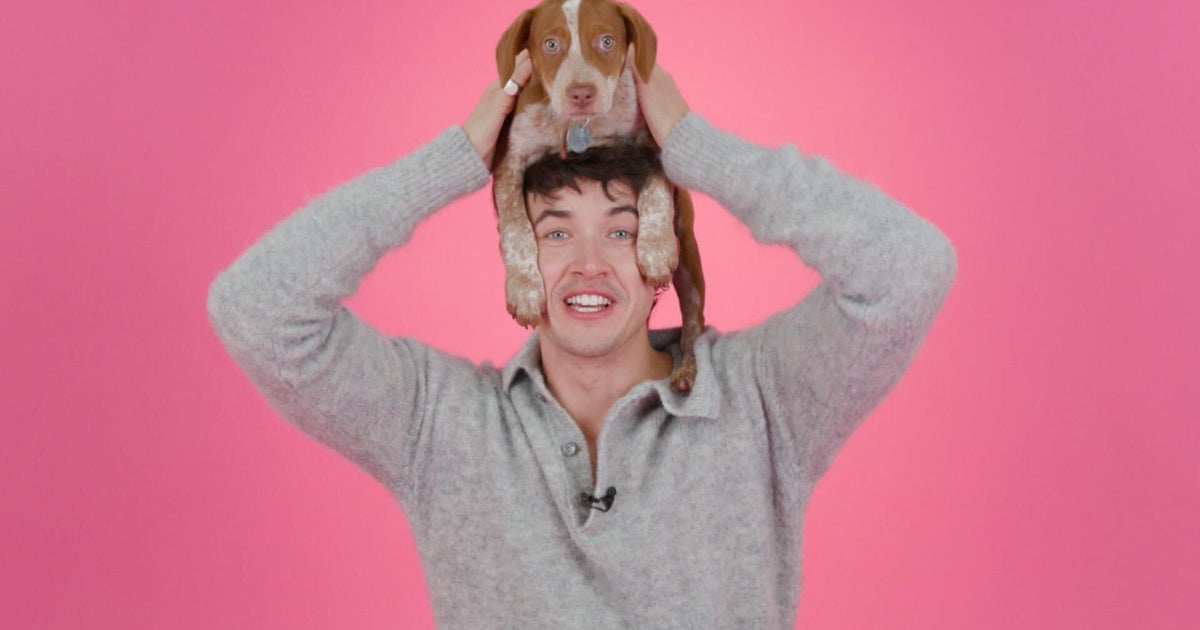 Tom Blyth: The Puppy Interview | HuffPost Videos
