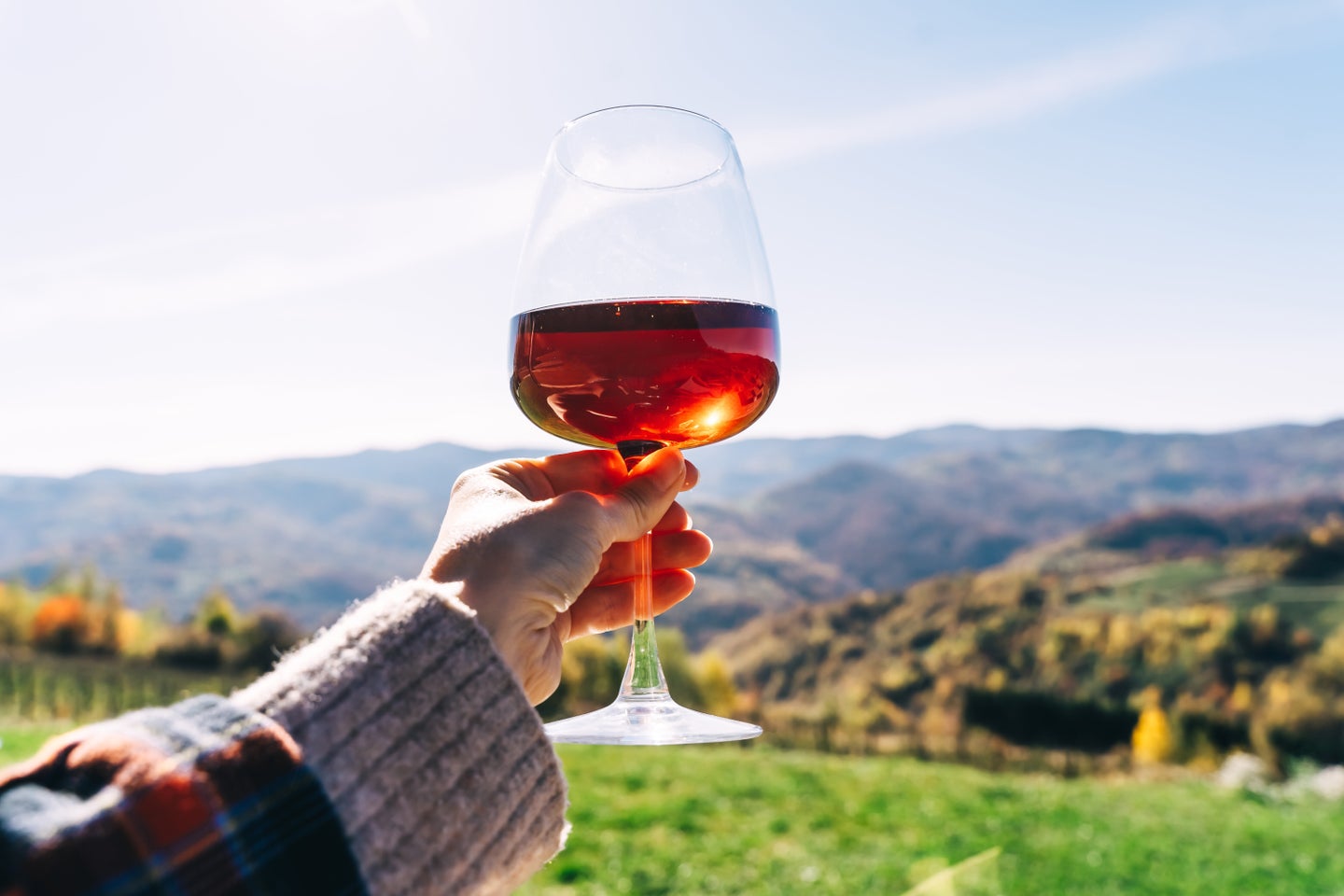 Does Red Wine Really Lead To A Longer Life? | HuffPost UK Food & Drink