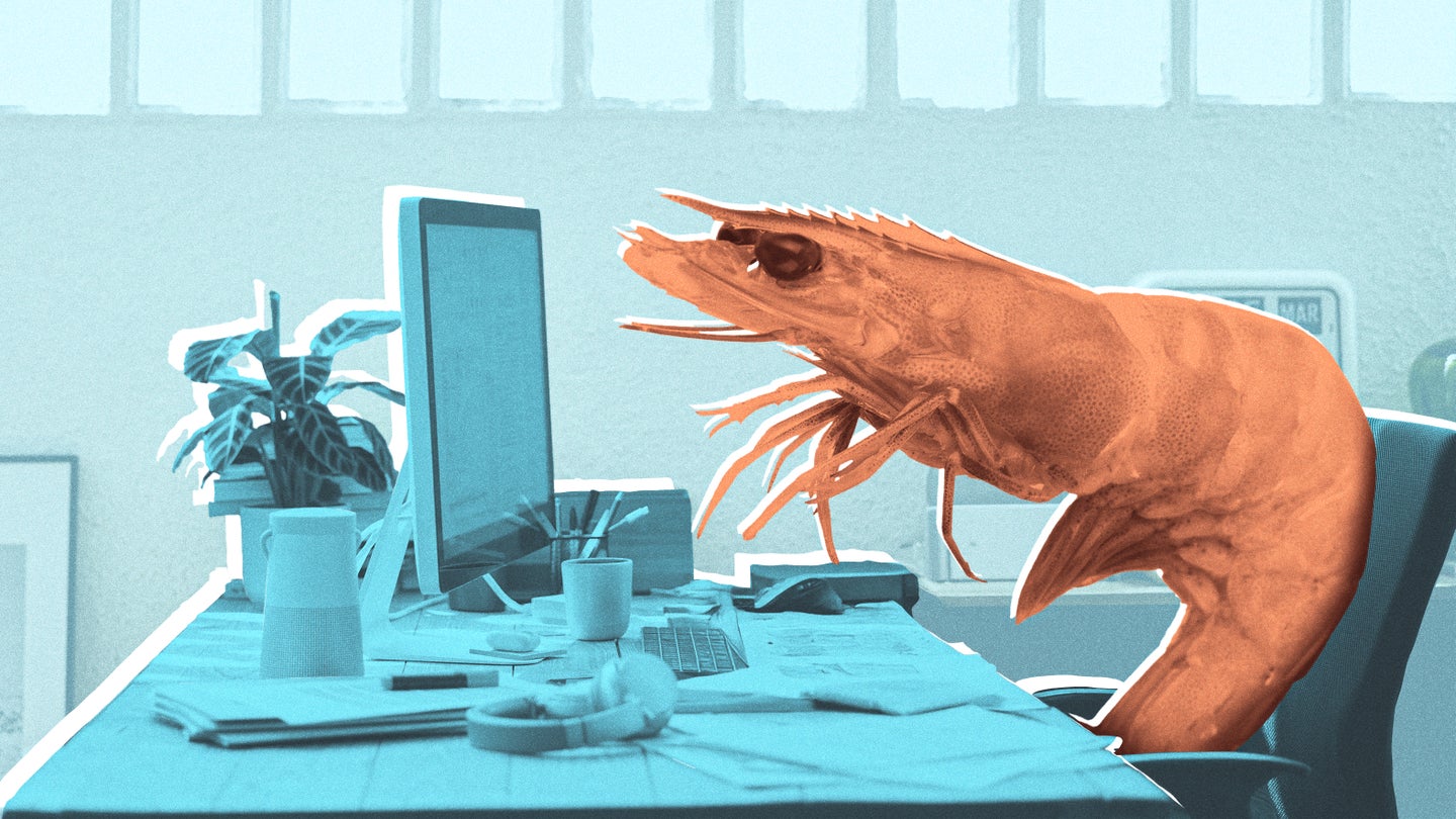 How To Stop Being A ‘Desk Shrimp’ And Improve Your Desk Posture ...