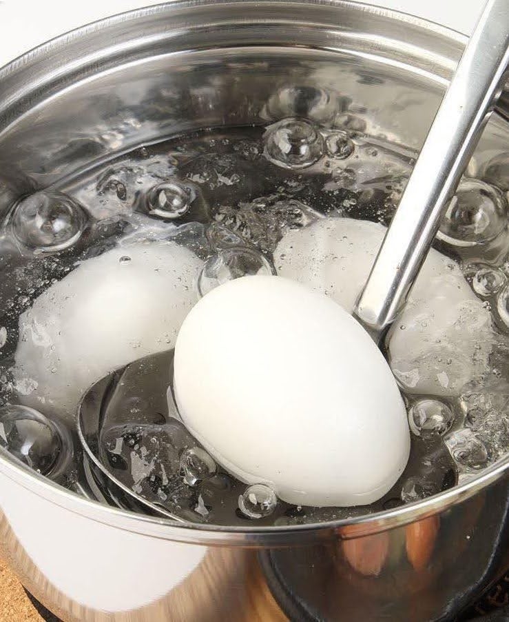 Hyper-realistic food sample captures boiling eggs and water with ...