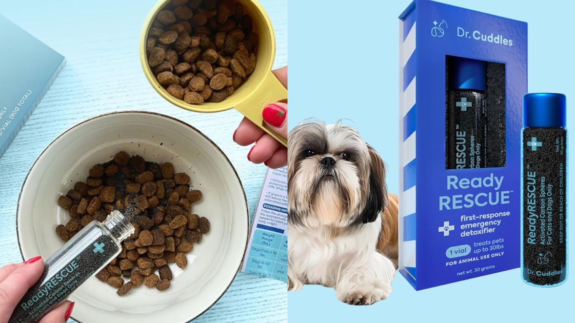 This Anti-Poisoning Treatment May Save Your Pet's Life | HuffPost Life