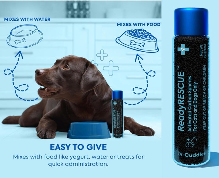 This Anti-Poisoning Treatment May Save Your Pet's Life | HuffPost Life