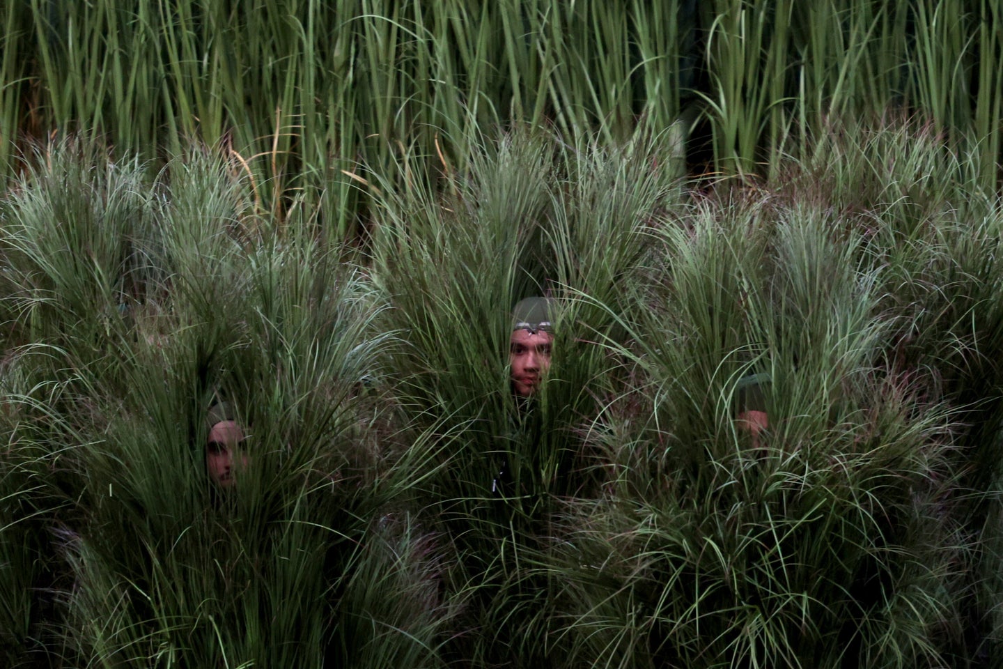 Bad Bunny Halftime Show Extra Spills On His Time Inside The Grass At ...