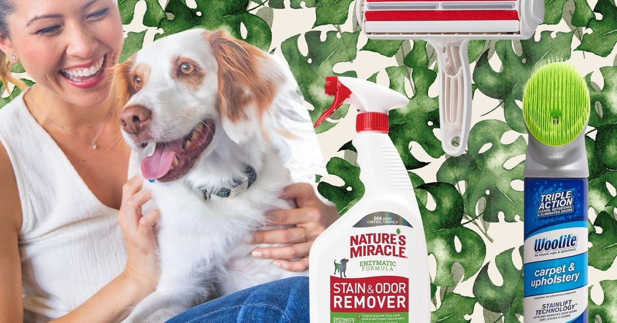 Best Pet Cleaning Products For Hair, Odor And Stains | HuffPost Life