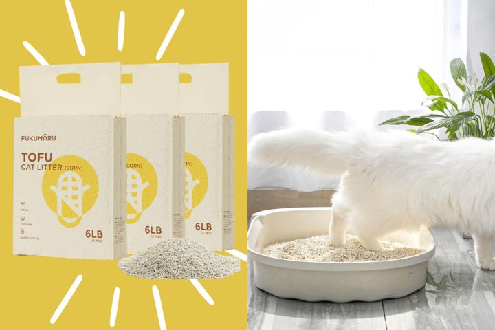 'Tofu Litter' Is Better For Your Cat And It's On Sale | HuffPost Life
