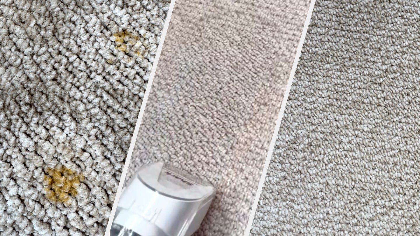 Shark StainForce Review: Can It Remove Curry And Cat Sick? | HuffPost ...