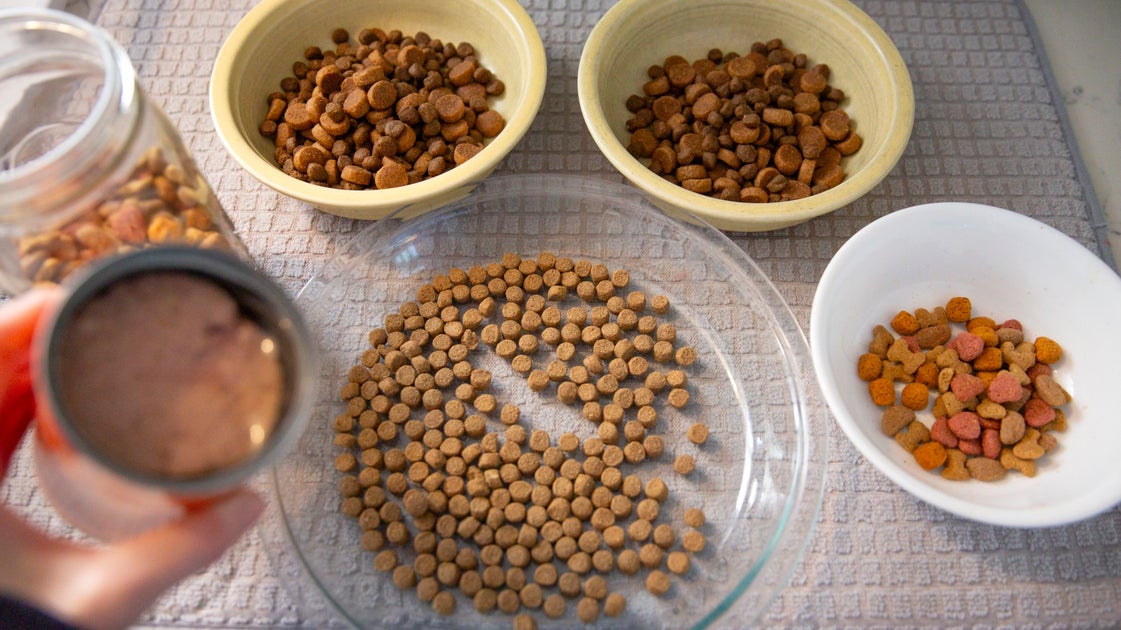 What To Know About Boy Kibble, The Viral Dog-Food-Inspired Diet Trend ...