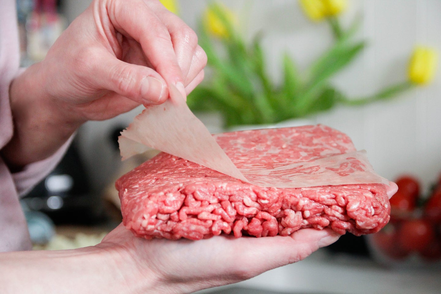 What To Know About Boy Kibble, The Viral Dog-Food-Inspired Diet Trend ...