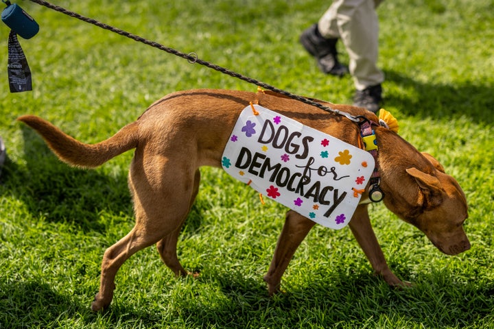 Powerful Photos From 'No Kings' Protests Across The Country | HuffPost ...