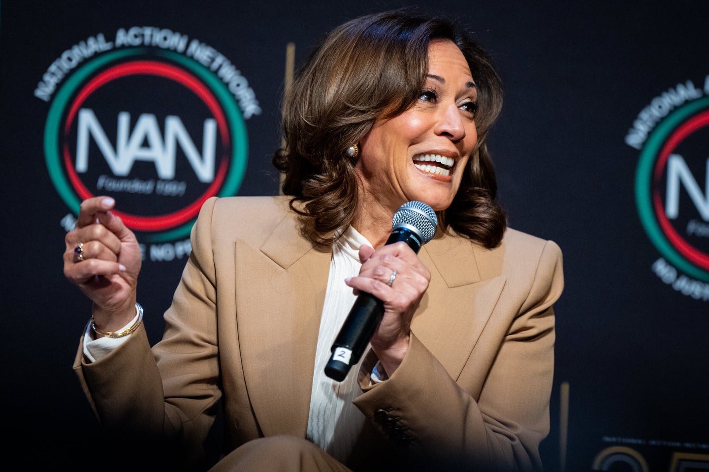 Kamala Harris 2028? Democratic Operatives And Donors Hope Not ...