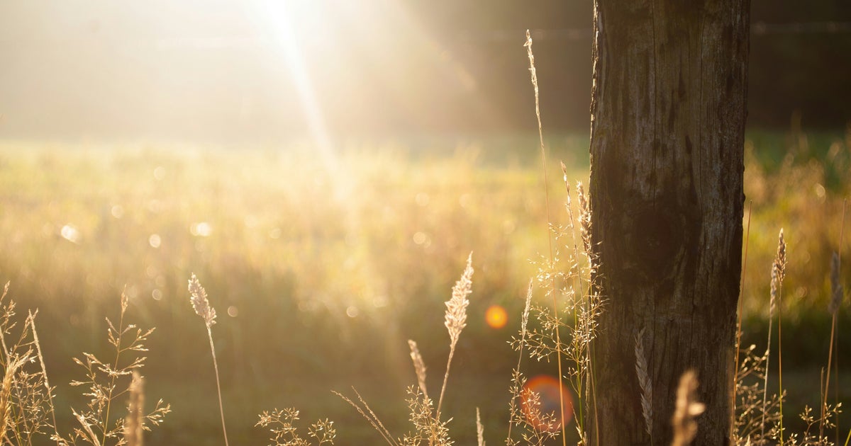 How Long Will Spring Sunshine Last In The UK? | HuffPost UK Life
