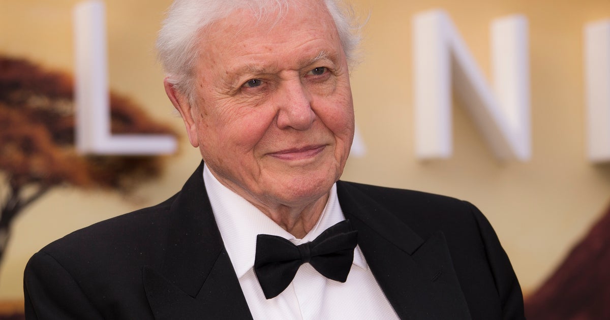 It Turns Out David Attenborough Is The Reason Tennis Balls Are Yellow ...
