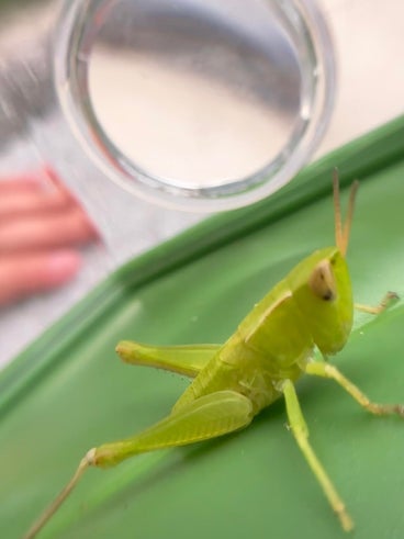 These Toys And Activities Are Perfect For Kids Who Love Being Outside ...