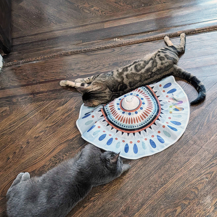 As Someone With Multiple Cats, Here Are The 29 Prime Day Pet Deals I ...