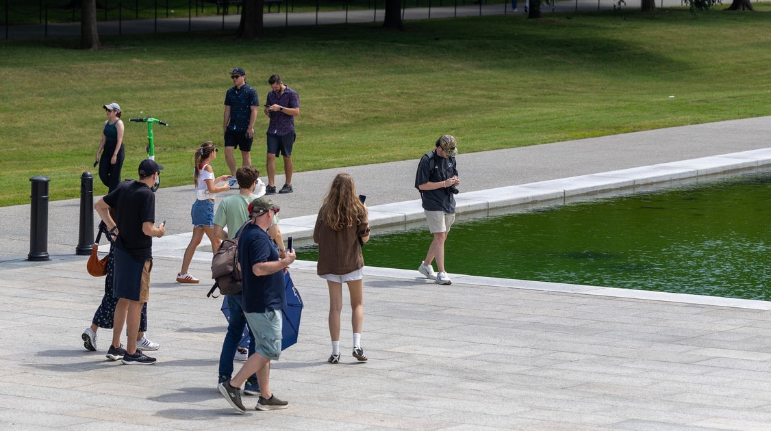 Officials Roasted After Posting Video Of Alleged Reflecting Pool Vandal ...