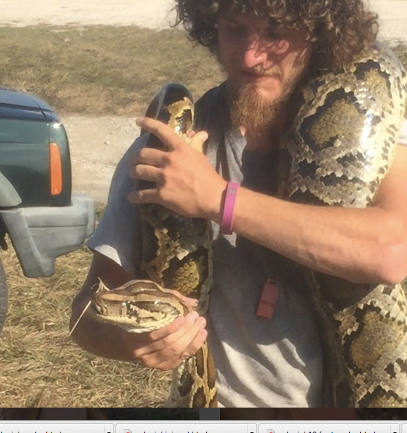 Florida Python Challenge Nets 106 Snakes During Monthlong Hunt